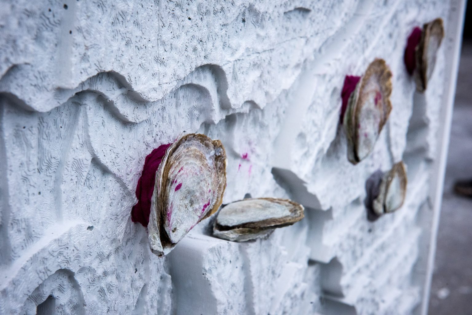 ARC marine | Nature-Inclusive Design for Marine Infrastructure